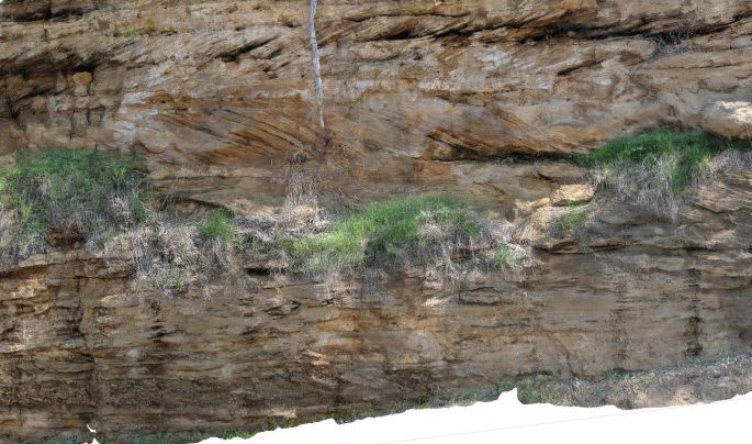 Cross-stratified Late Cambrian Jordan Sandstone, Homer, MN ...