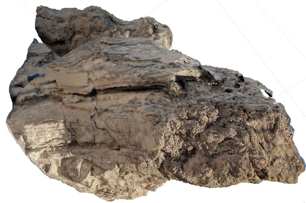 Lacustrine hot spring deposit, Miocene Lovell Wash Member, Horse ...