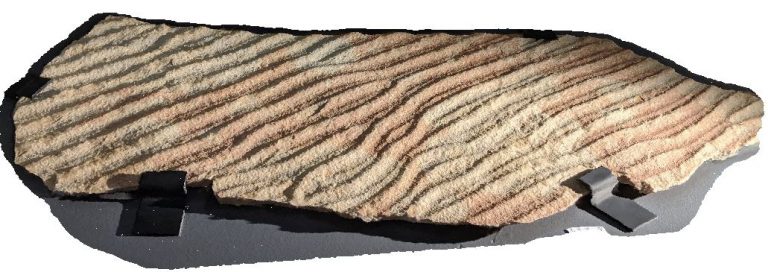 Rippled surface of a sandstone bed – Sedimentary Geology